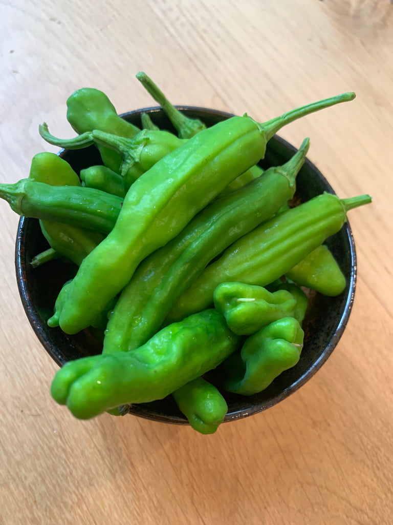 Six Acres Farm certified organic veggie farm