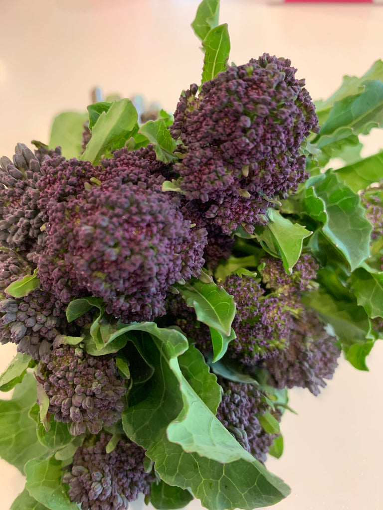 Six Acres Farm certified organic veggie farm